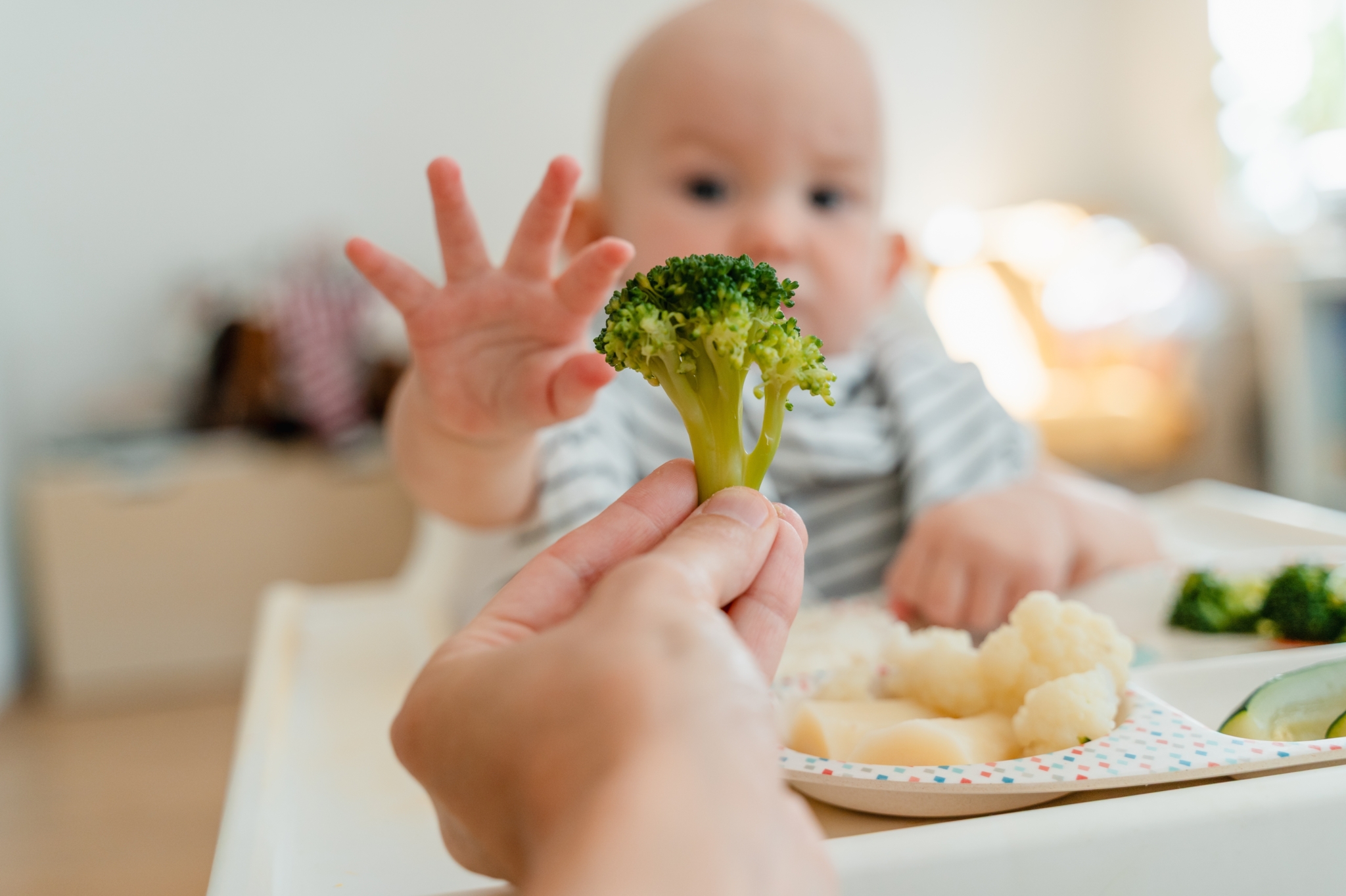 DME bébé : Guide diversification alimentaire et recettes